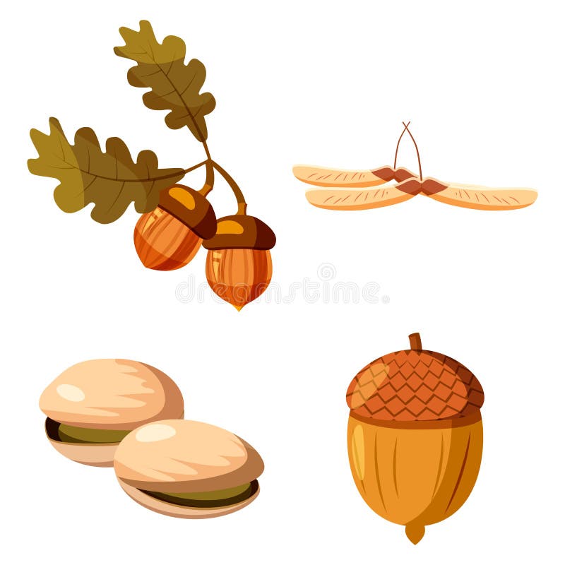 Nuts Icon Set, Outline Style Stock Vector - Illustration of chestnut ... Nuts Icon Set, Outline Style Stock Vector - Illustration of chestnut ...