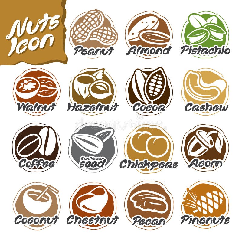 Nuts icon set stock vector. Illustration of pine, green - 47460882