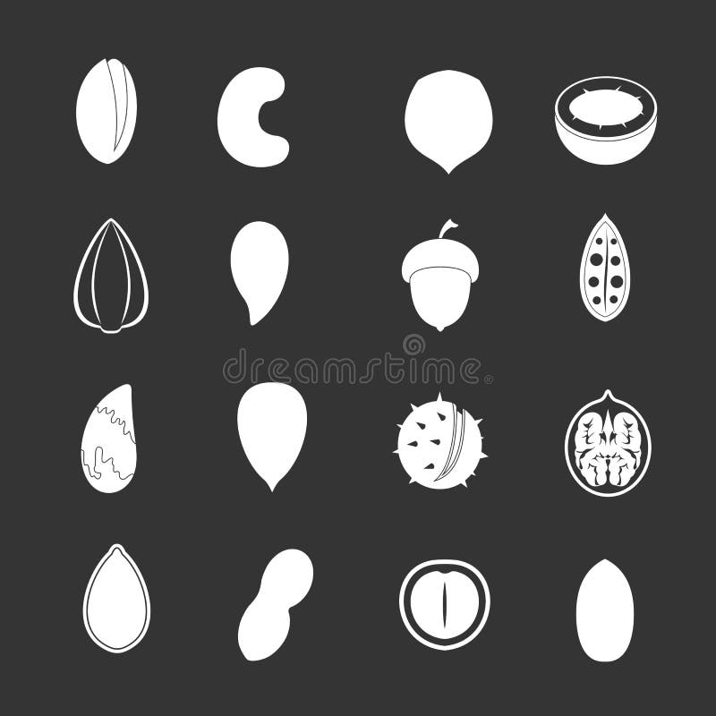 Nuts icons set grey vector stock vector. Illustration of nutshell ...