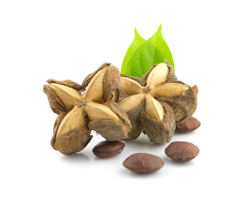 Sacha Inchi an Isolated on White Background Stock Image - Image of ripe ...