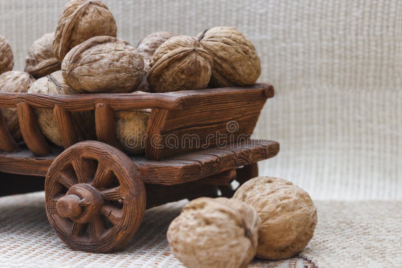 Nuts lying in the cart stock photo. Image of pepper - 102230588