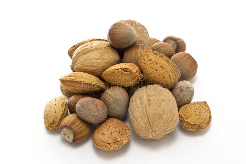 Variety of tree nuts stock image. Image of harvest, foodstuff - 15464267