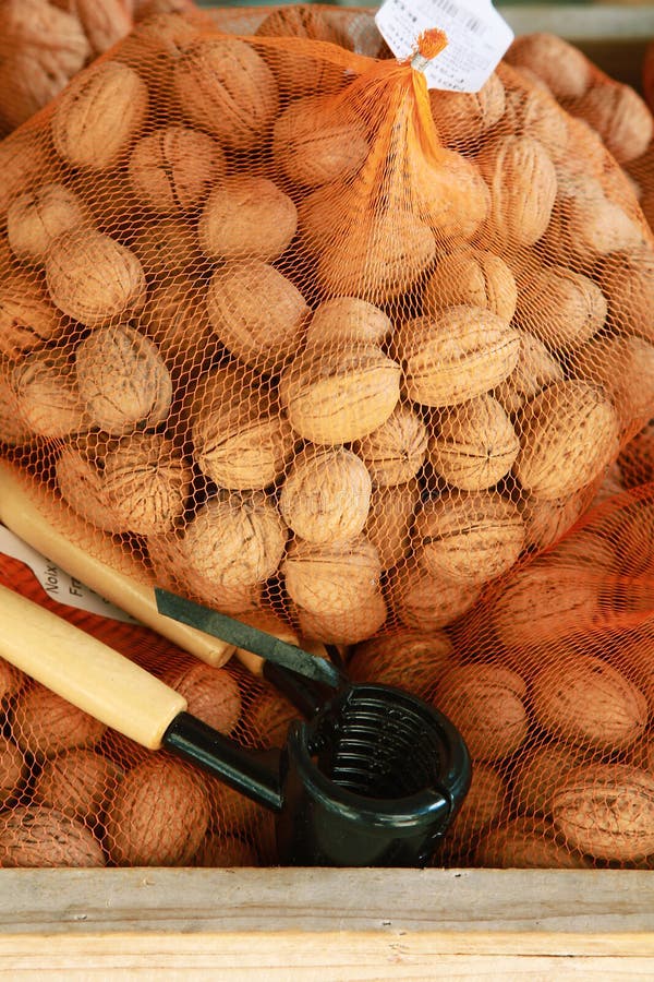 Different Stages of Ripening of a Nut with Broux or Ready To Fall Stock ...