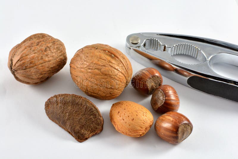 Nuts and a nut cracker stock image. Image of walnut, snack - 36478533