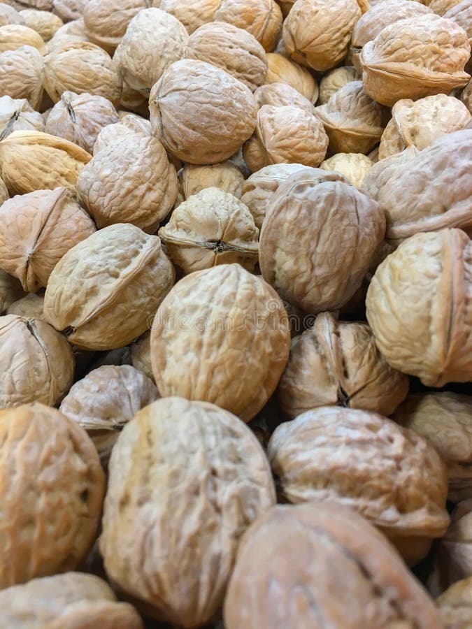 Many Raw Unprocessed Nuts in a Close Up. Stock Image - Image of shell ...
