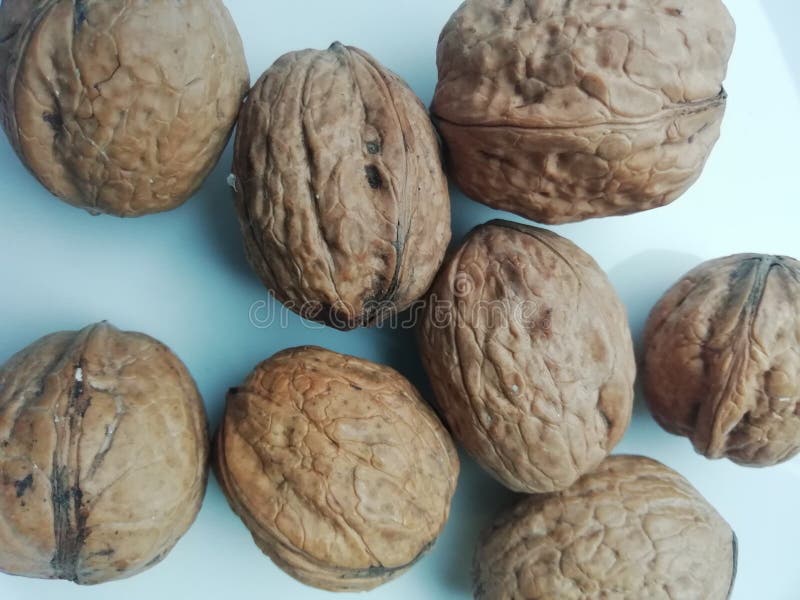 Nuts stock photo. Image of nuts, brown, characteristic - 130278814