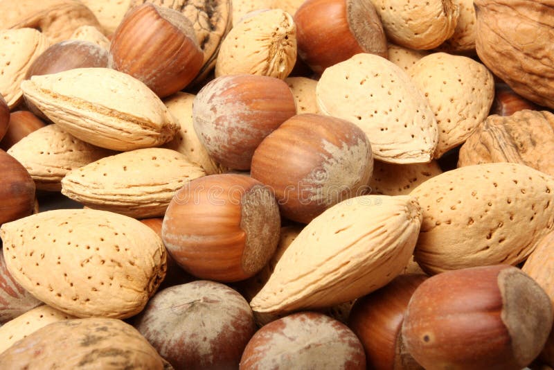 Nuts in nutshells stock image. Image of selection, natural - 12128905
