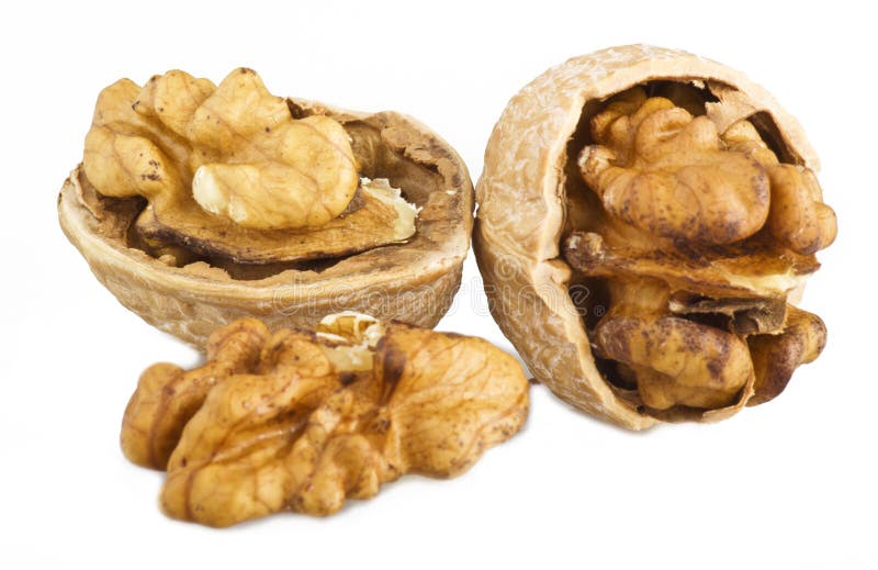 Nut 1 stock photo. Image of hard, food, caloric, calories - 265854