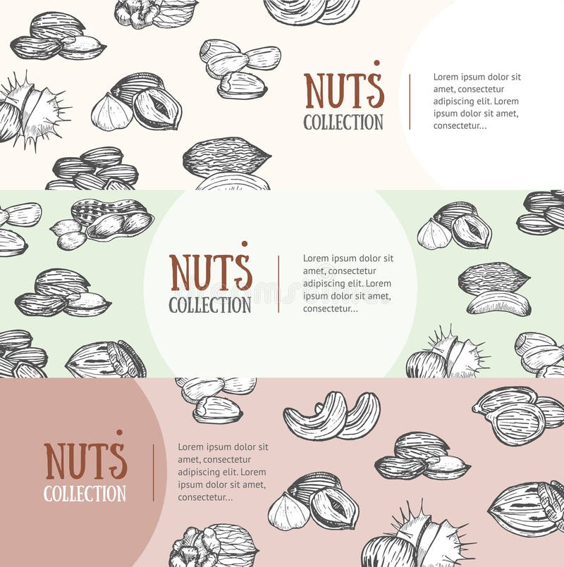 Nuts Package Design Banner Set. Vector Stock Vector - Illustration of ...
