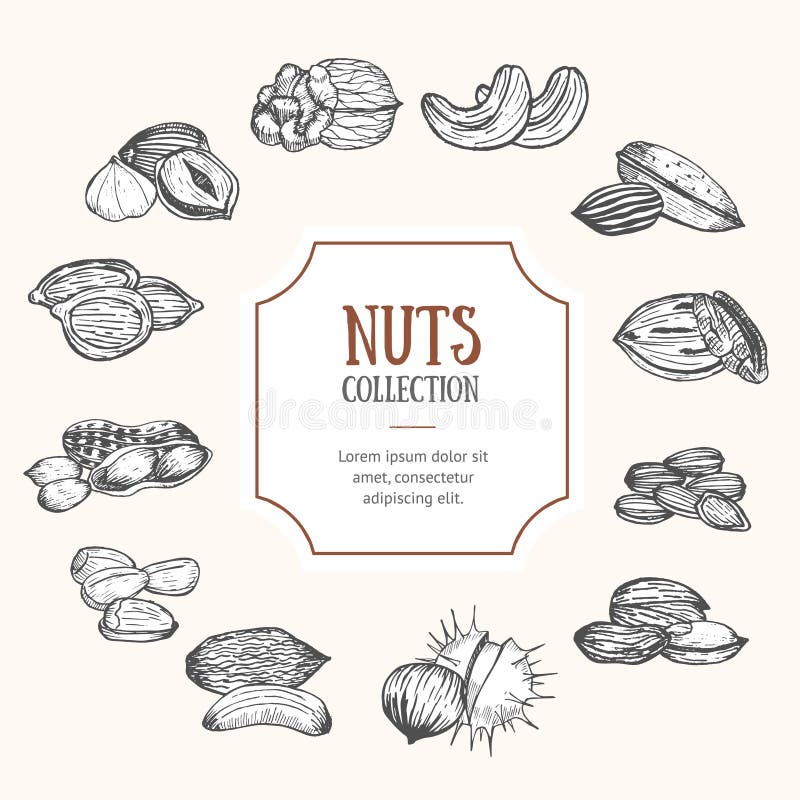 Nuts Package Vector Realistic Mock Up. Label Design. Product Placement ...