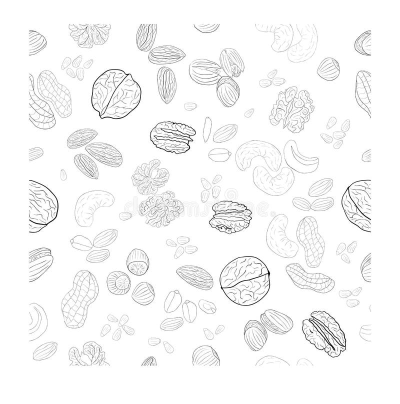 Nuts pattern stock illustration. Illustration of object - 54998666