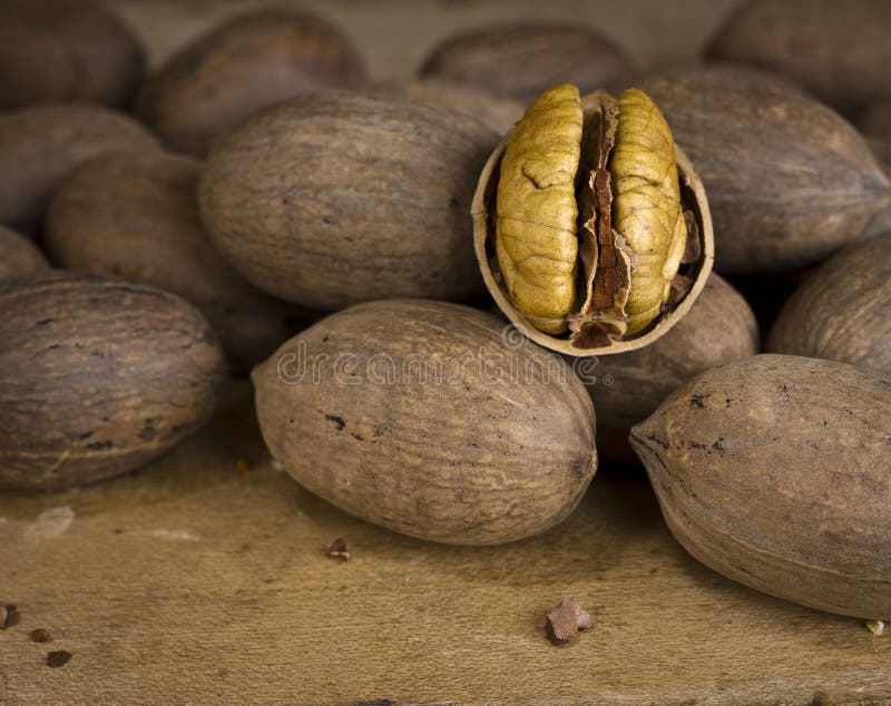 Pecan nuts in shells stock photo. Image of food, nutrition - 14397468