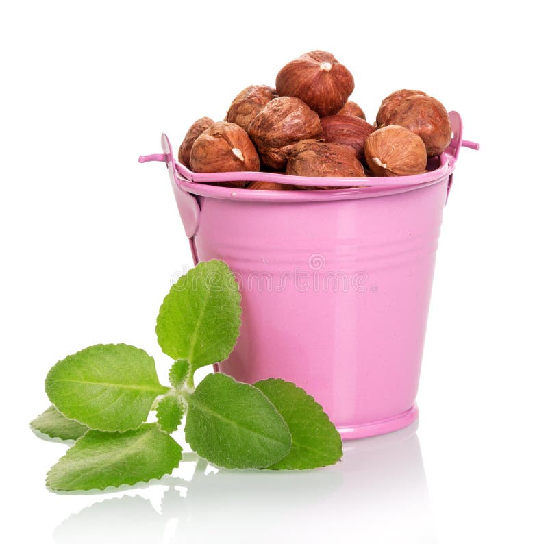 Nuts in Pink Bucket and Mint Isolated Stock Image - Image of healthy ...