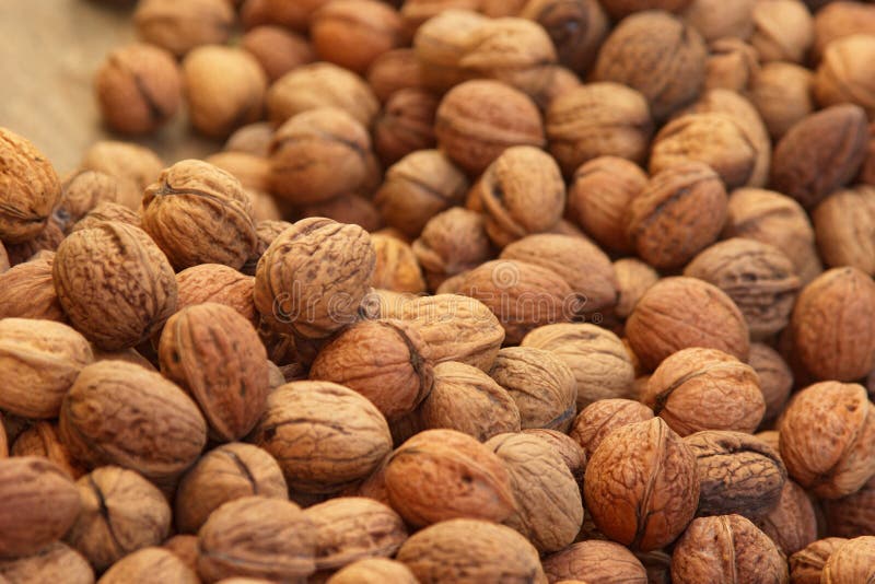 Nuts for sale stock image. Image of courgette, natural - 60977029