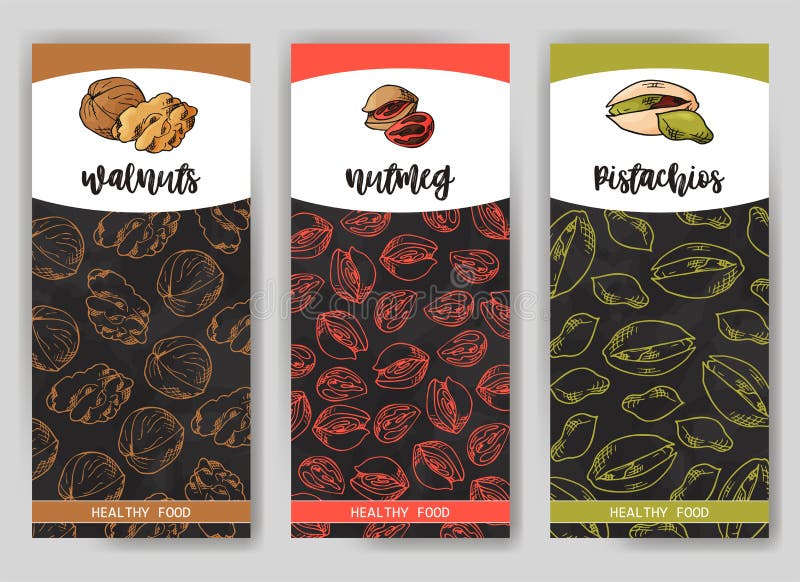 Nuts and Seeds Collection. Hand Drawn Elements. Flyer, Booklet ...
