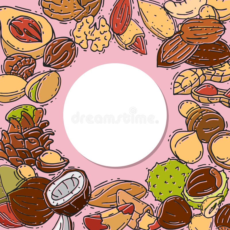 Nuts and Seeds with Paper Label Vector Illustration. Mixed Labelled ...