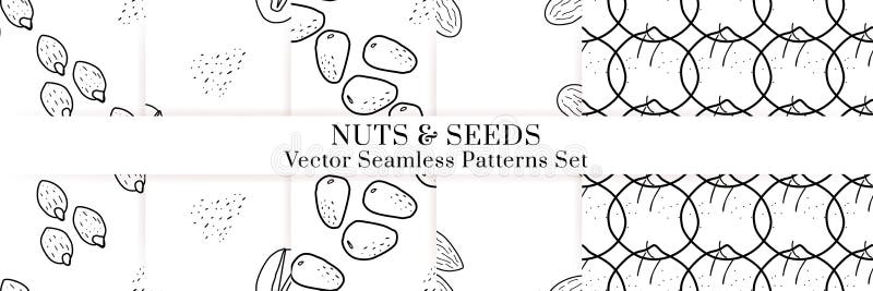 Nuts and Seeds Vector Pattern. Outline Hand Drawn Design Stock Vector ...