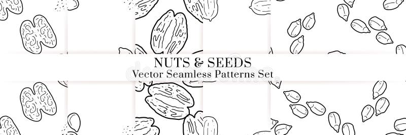 Nuts and Seeds Vector Pattern. Outline Hand Drawn Design Stock Vector ...