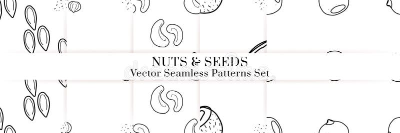 Nuts and Seeds Vector Pattern. Outline Hand Drawn Design Stock Vector ...