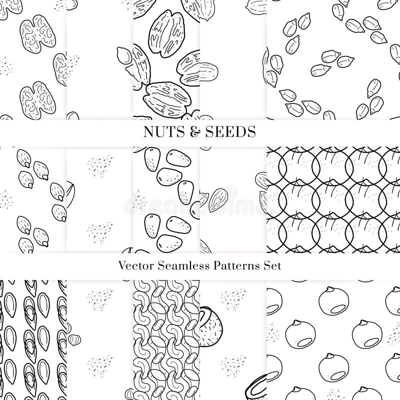 Nuts and Seeds Vector Pattern. Outline Hand Drawn Design Stock Vector ...
