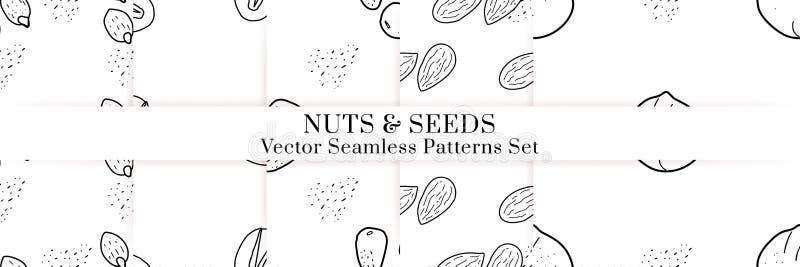Nuts and Seeds Vector Pattern. Outline Hand Drawn Design Stock Vector ...