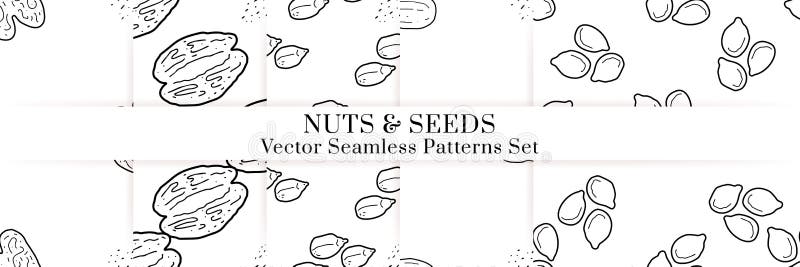 Nuts and Seeds Vector Pattern. Outline Hand Drawn Design Stock ...