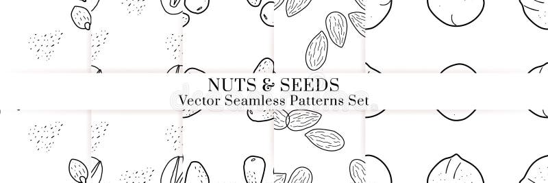Nuts and Seeds Vector Pattern. Outline Hand Drawn Design Stock Vector ...