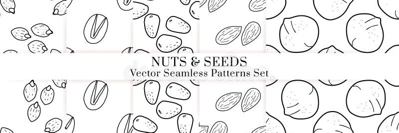 Nuts and Seeds Vector Pattern. Outline Hand Drawn Design Stock Vector ...