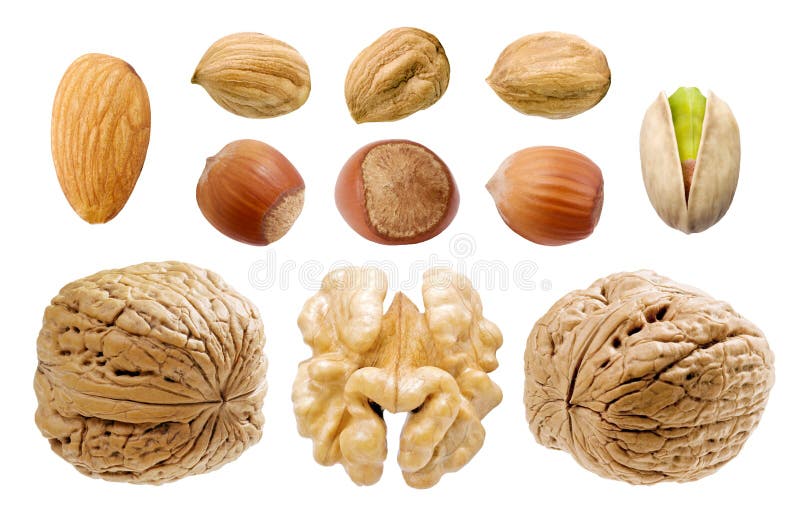 Nuts set. stock photo. Image of hazelnut, varied, separately - 16089364