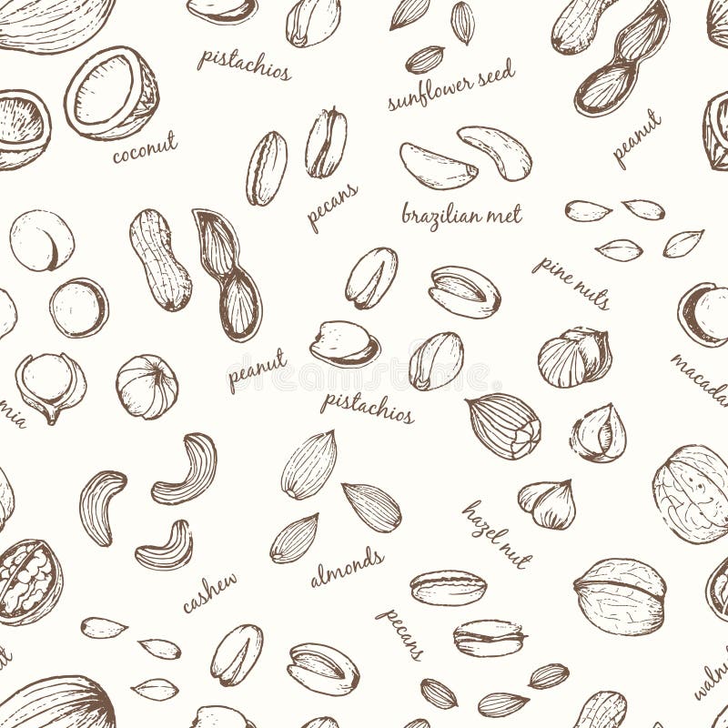 Nuts seamless pattern. stock illustration. Illustration of almond ...