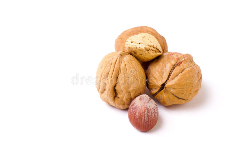 Mixed Nuts in Shell Isolated on White Stock Image - Image of background ...