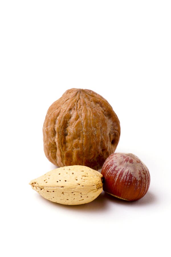 Nuts in Shell Isolated on White Stock Photo - Image of food, macro ...