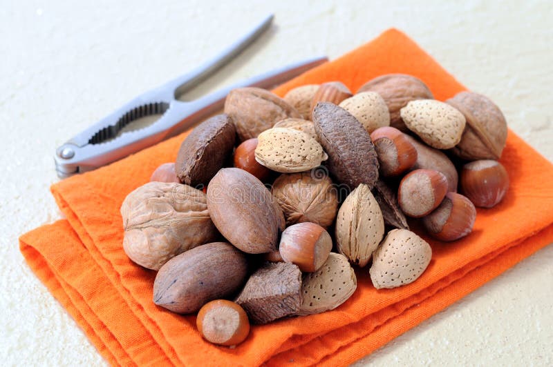 Nuts in shell stock image. Image of almond, napkin, hazelnut - 39636139
