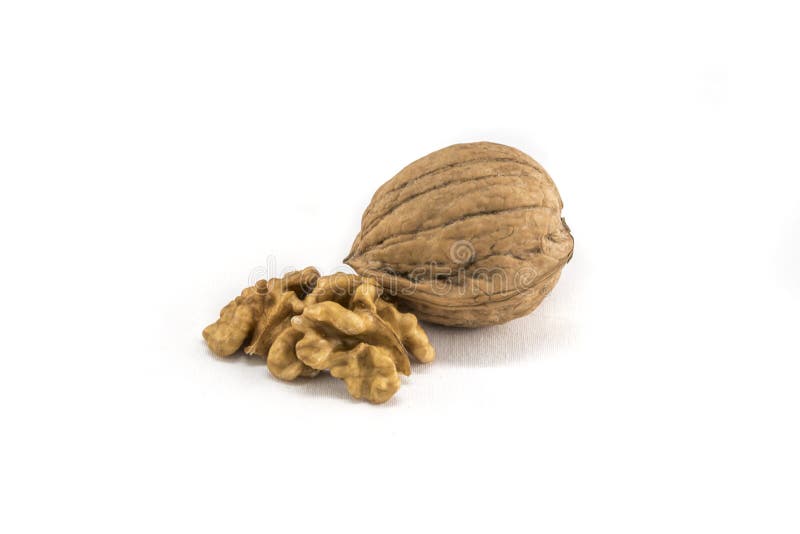 Nuts with Shell and White Bakcground Stock Image - Image of natural ...