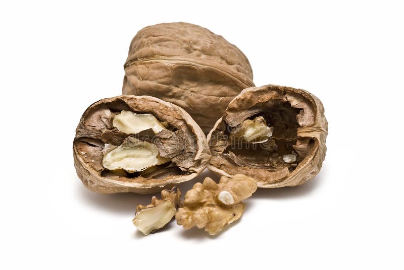 231 Gathering Shells Stock Photos - Free & Royalty-Free Stock Photos ...