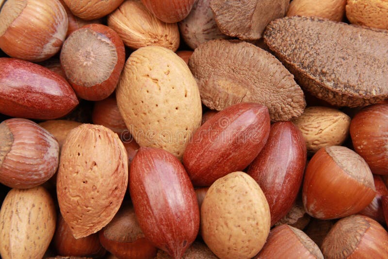 Mixed Nuts stock photo. Image of almond, natural, cocktail - 547808