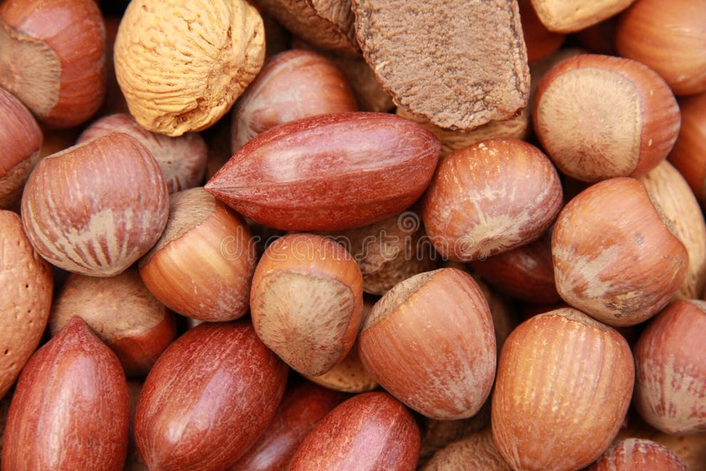Nuts in Shells 2 stock photo. Image of food, antioxidant - 14265558