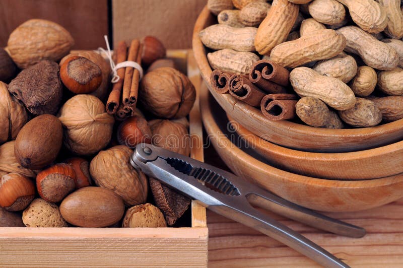 Nuts in shells stock photo. Image of festive, cinnamon - 29234946