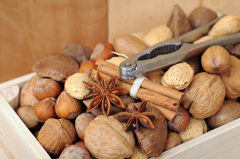 Nuts in shells stock photo. Image of cracker, food, hazelnut - 29235012