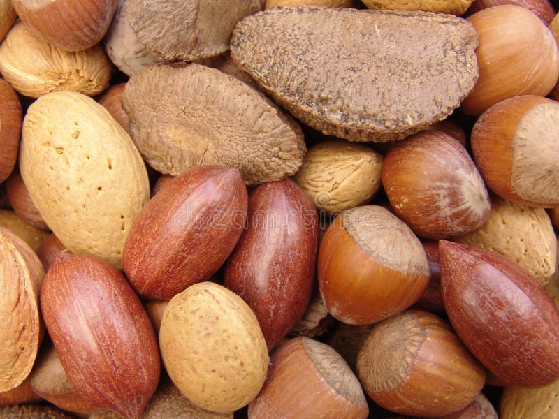 Nuts in shells stock photo. Image of shot, copy, open - 16791610