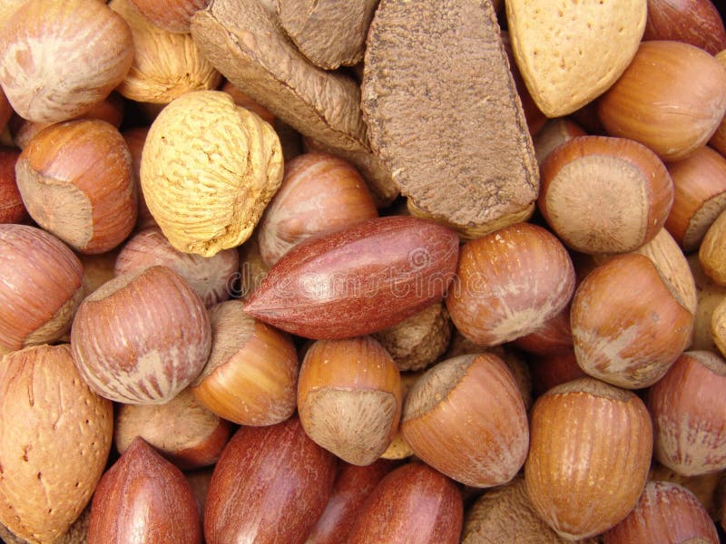 Nuts in Shells 4 stock image. Image of fiber, health - 14265623
