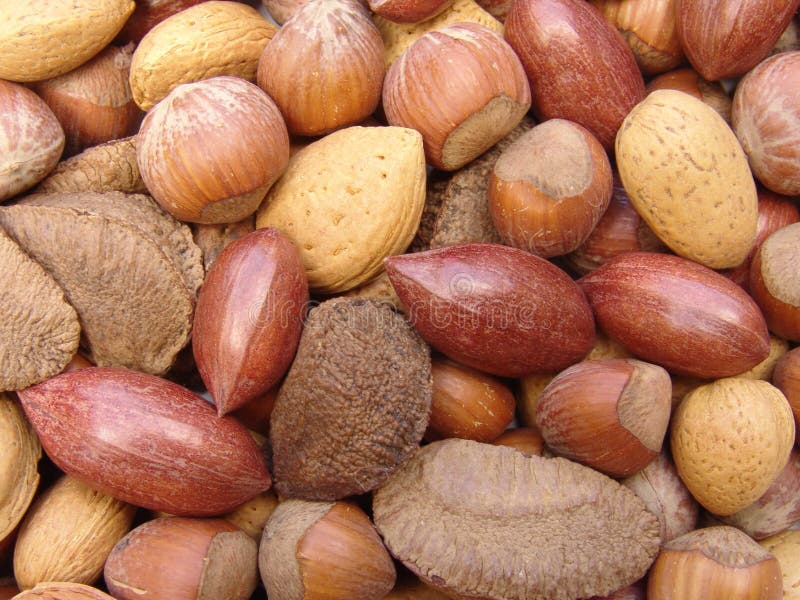 Nuts in Shells 5 stock image. Image of fruit, nutrition - 14265657