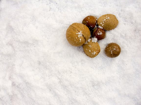 Nuts in snow stock image. Image of tradition, xmas, white - 321387