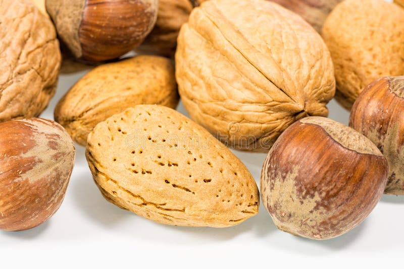 Nuts stock photo. Image of white, prunus, shell, almond - 47523346