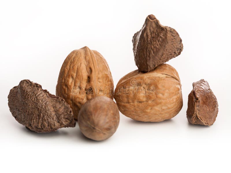 Nuts stock photo. Image of food, mixed, health, diet - 31191398