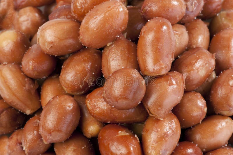 Spanish Peanuts stock photo. Image of oily, nuts, ouevres - 17561186