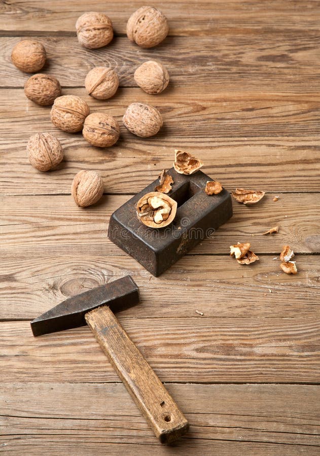 Nuts split hammer stock photo. Image of eating, anvil - 72930786