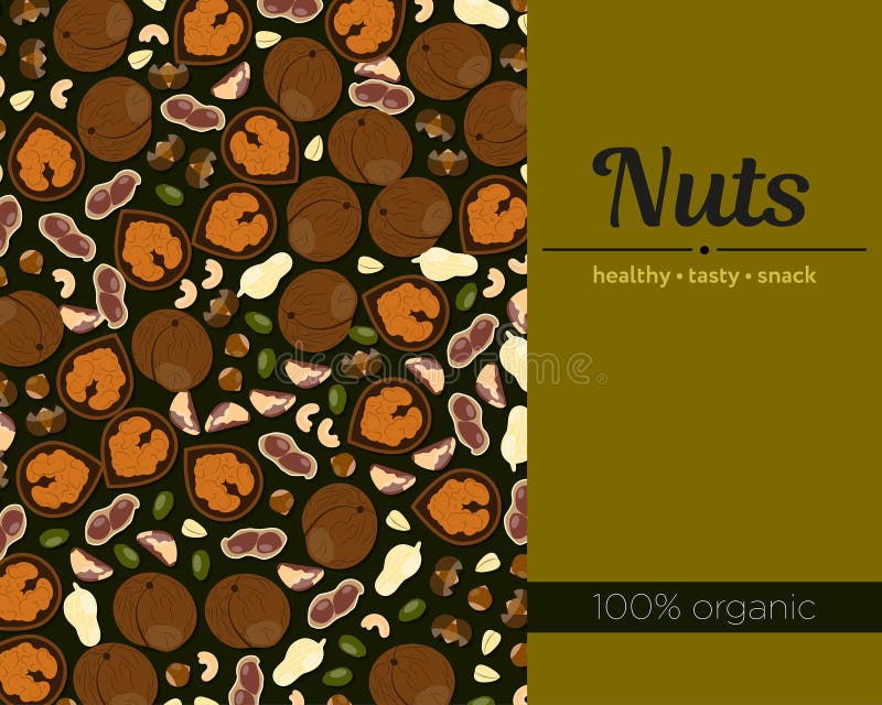 Nuts Template for Packing and Posters in Flat Style Stock Vector ...