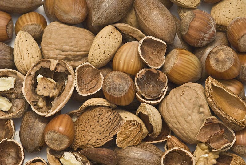 Nuts texture. stock image. Image of health, green, catalog - 15447705