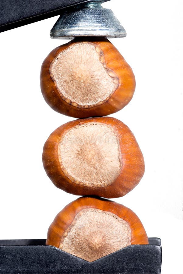 Nuts under pressing stock photo. Image of metal, flavoring - 22665382